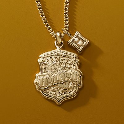 Fossil Harry Potter Necklace